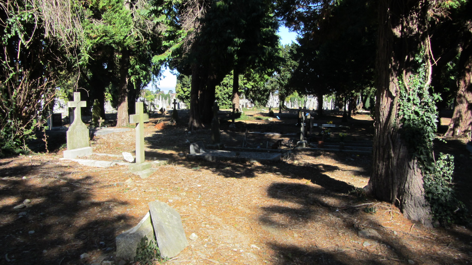 Deansgrange Cemetery | Dún Laoghaire-Rathdown County Council