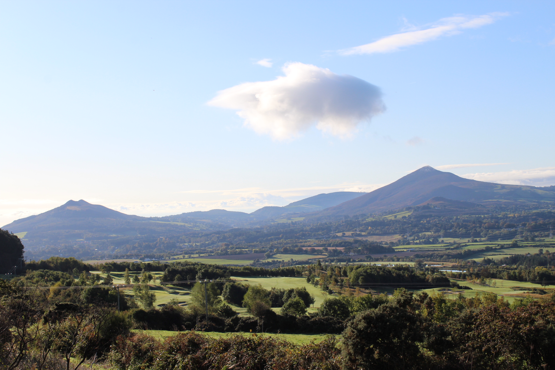 Carrickgollogan Forest | Dún Laoghaire-Rathdown County Council