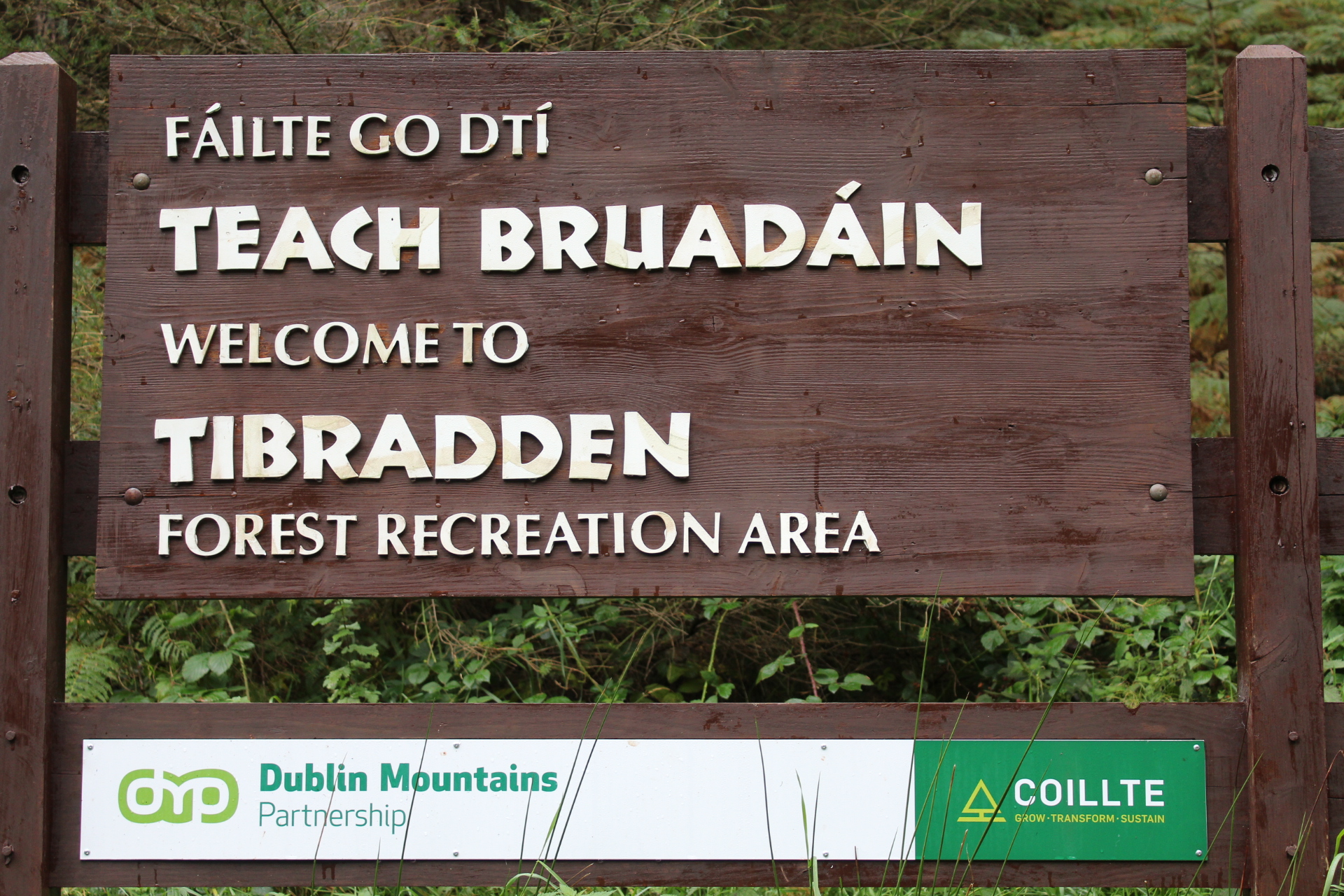 Tibradden Wood | Dún Laoghaire-Rathdown County Council