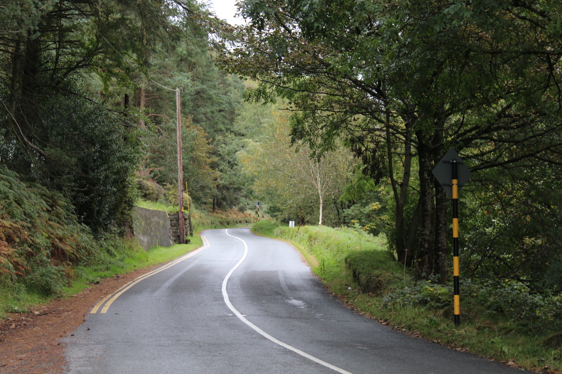 Tibradden Wood | Dún Laoghaire-Rathdown County Council