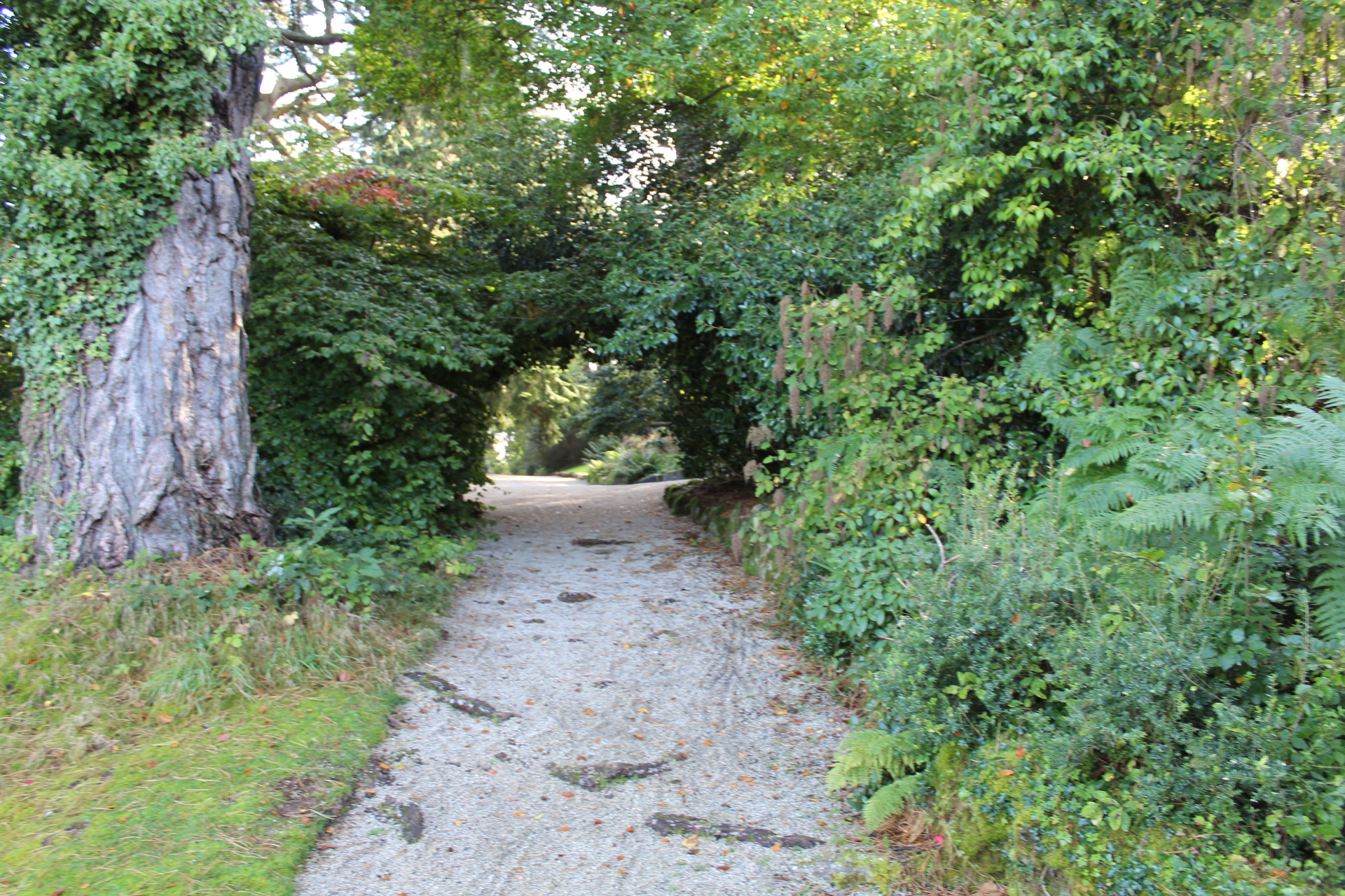 Fernhill | Dún Laoghaire-Rathdown County Council