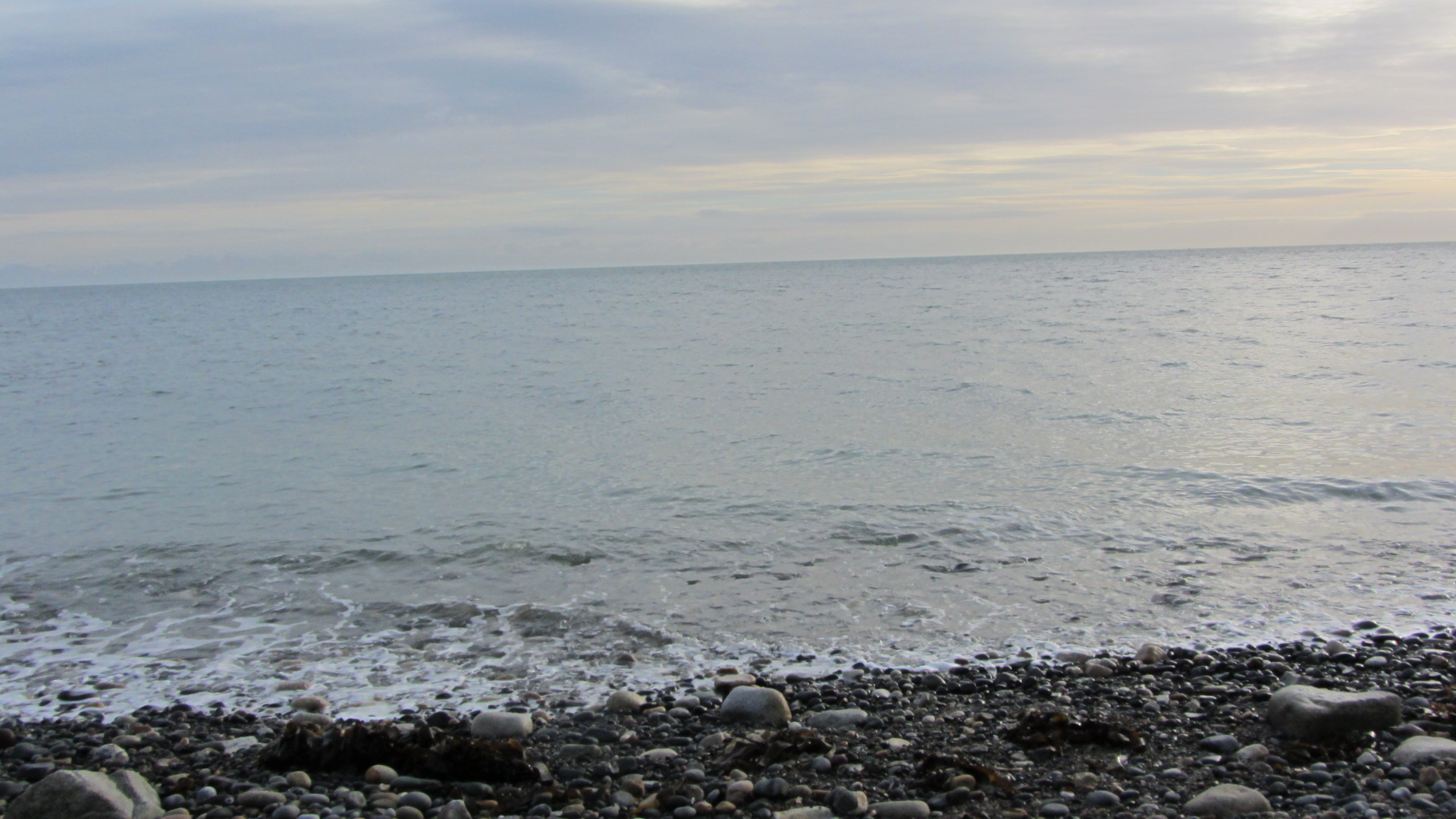 Shankill Cliffs | Dún Laoghaire-Rathdown County Council