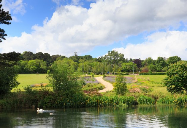 Cabinteely Park | Dún Laoghaire-Rathdown County Council