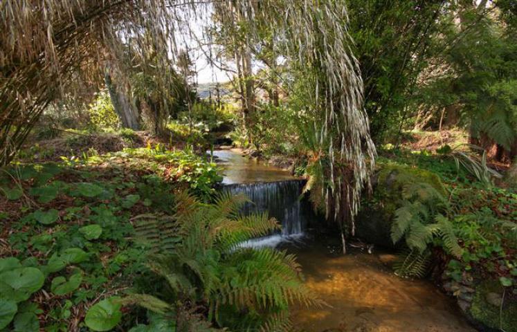 Fernhill Park and Gardens | Dún Laoghaire-Rathdown County Council