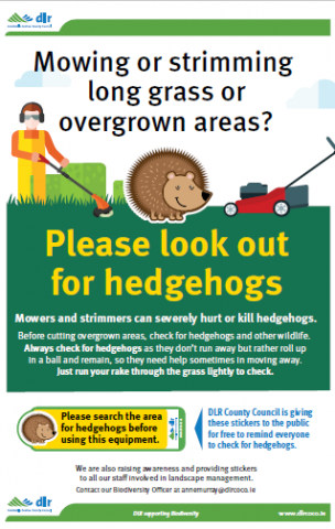 DLR Hedgehog Campaign | Dún Laoghaire-Rathdown County Council