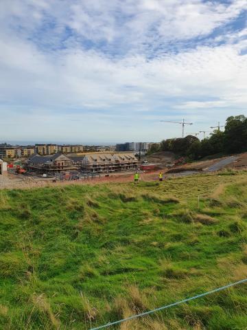 Our Local Soil and Local Seed Project | Dún Laoghaire-Rathdown County ...