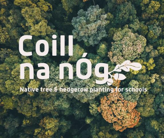 dlr Biodiversity Supporting Schools to Plant Native Hedgerows | Dún ...