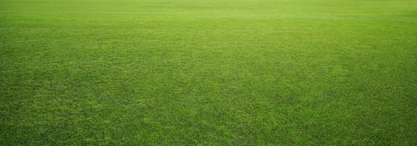 Shanganagh Park Masterplan Phase 1 Update | Dún Laoghaire-Rathdown ...
