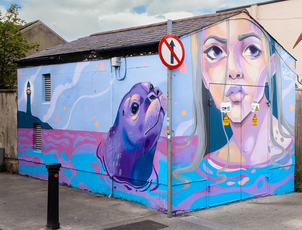 Juliette Viodé | Dún Laoghaire-Rathdown County Council